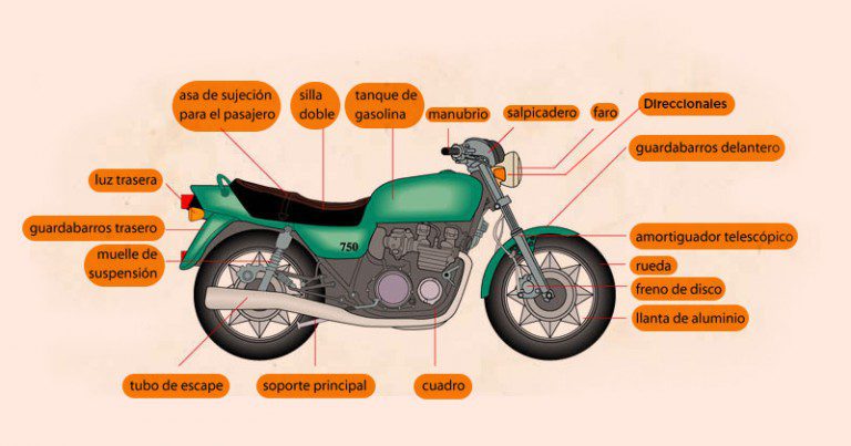 LA ANATOMÍA DE UNA MOTOCICLETA - Pasión Biker
